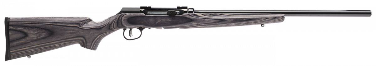 SAVAGE A17 TARGET SPORTER, SELBSTLADEBÜCHSE .17HMR LL:56CM #55531 (US ...